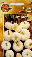 Dynia ozdobna Baby Boo 1,5g R 710196040/42 - Ceny i opinie - Ceneo.pl