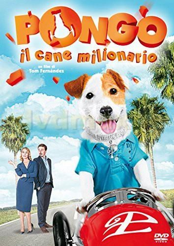 Film DVD Millionaire Dog (Pancho, psi milioner) [DVD] - Ceny i opinie ...