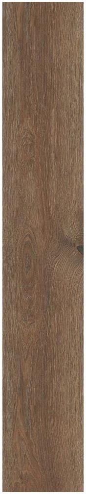 Płytki Polcolorit Gres Szkliwiony Richwood 20,4X120,4 - Opinie i ceny ...