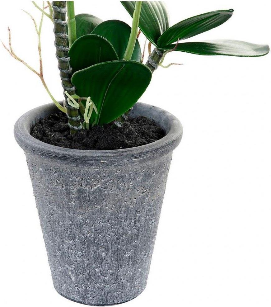 Dkd Home Decor Roślina Dekoracyjna Biały Szary Materiał Kamionka ...