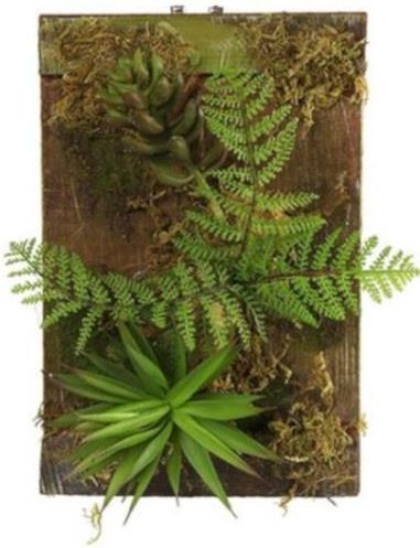 Roślina Sztuczna Pteropsida 20 X 12 30 Cm Sztuczny Jedwab Zielony 24957 ...