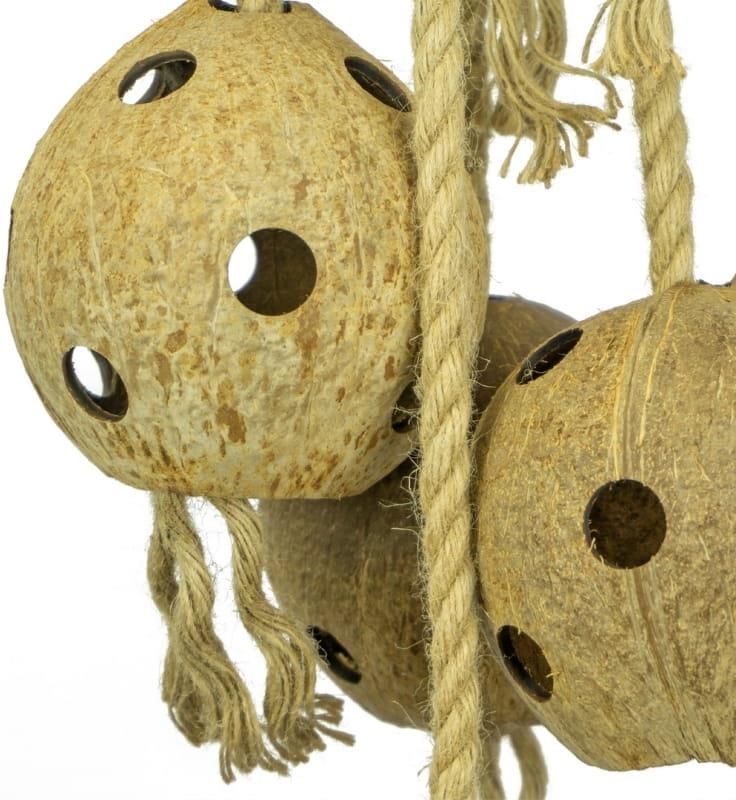 Greenwood Grande Kokosen - 5 Dużych Kokosów Na Sznurkach Xxl Zabawka ...