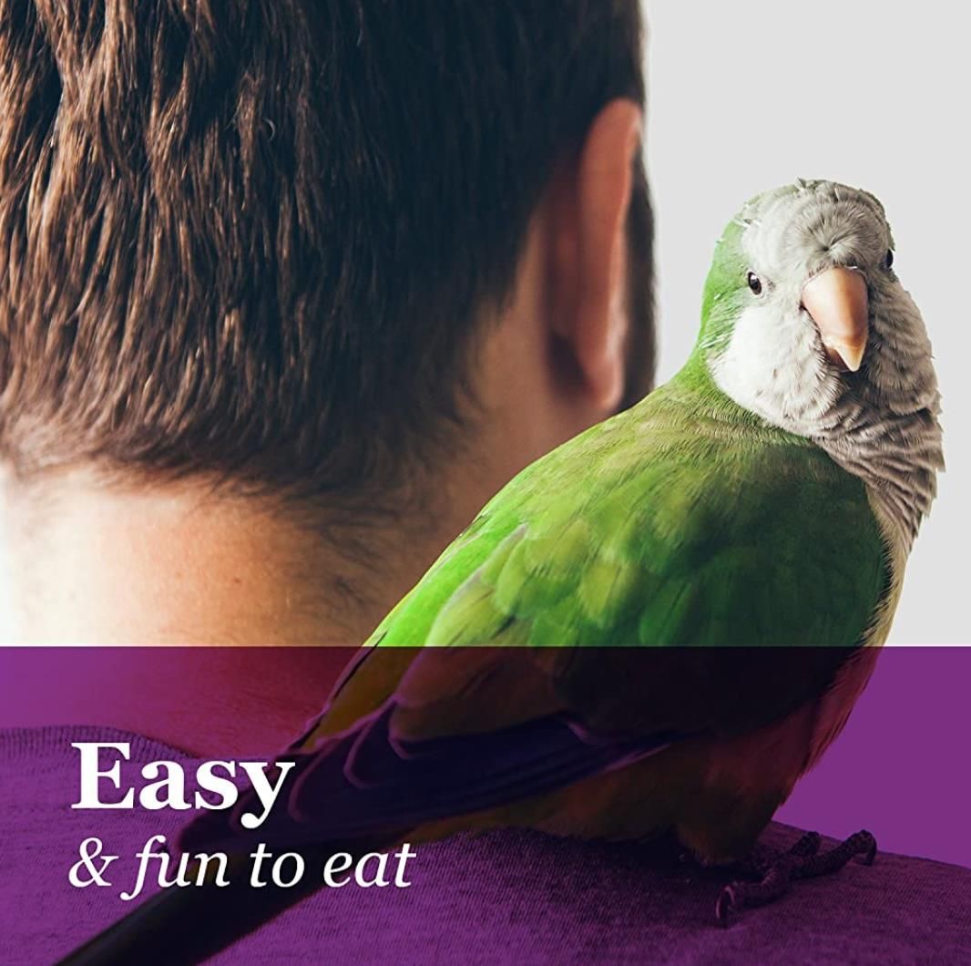 Brown'S Tropical Carnival Natural Mini Spray Millet Proso Dla ...