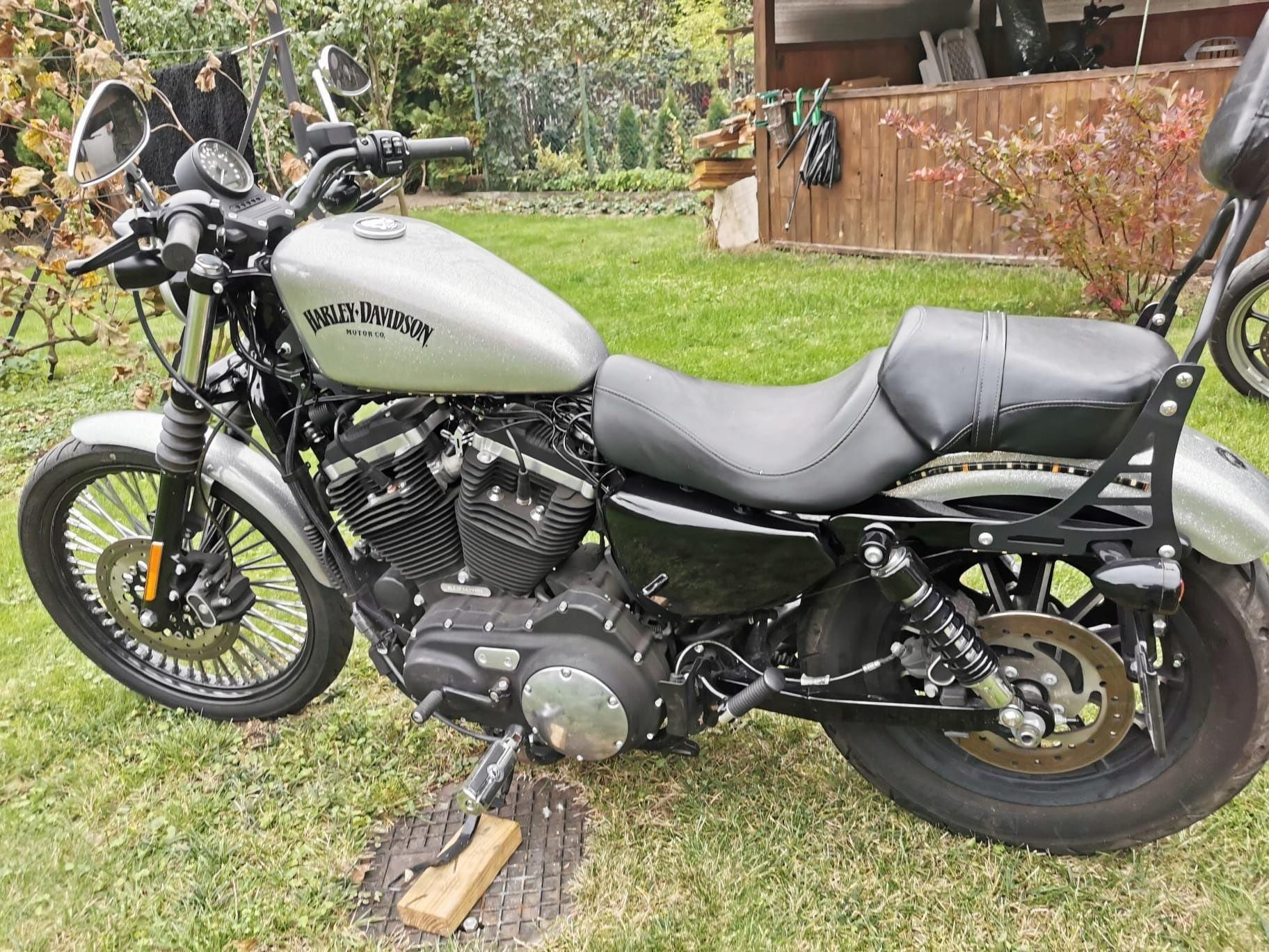 Harley Davidson Sportster XL883 Iron 883 - Opinie i ceny na Ceneo.pl