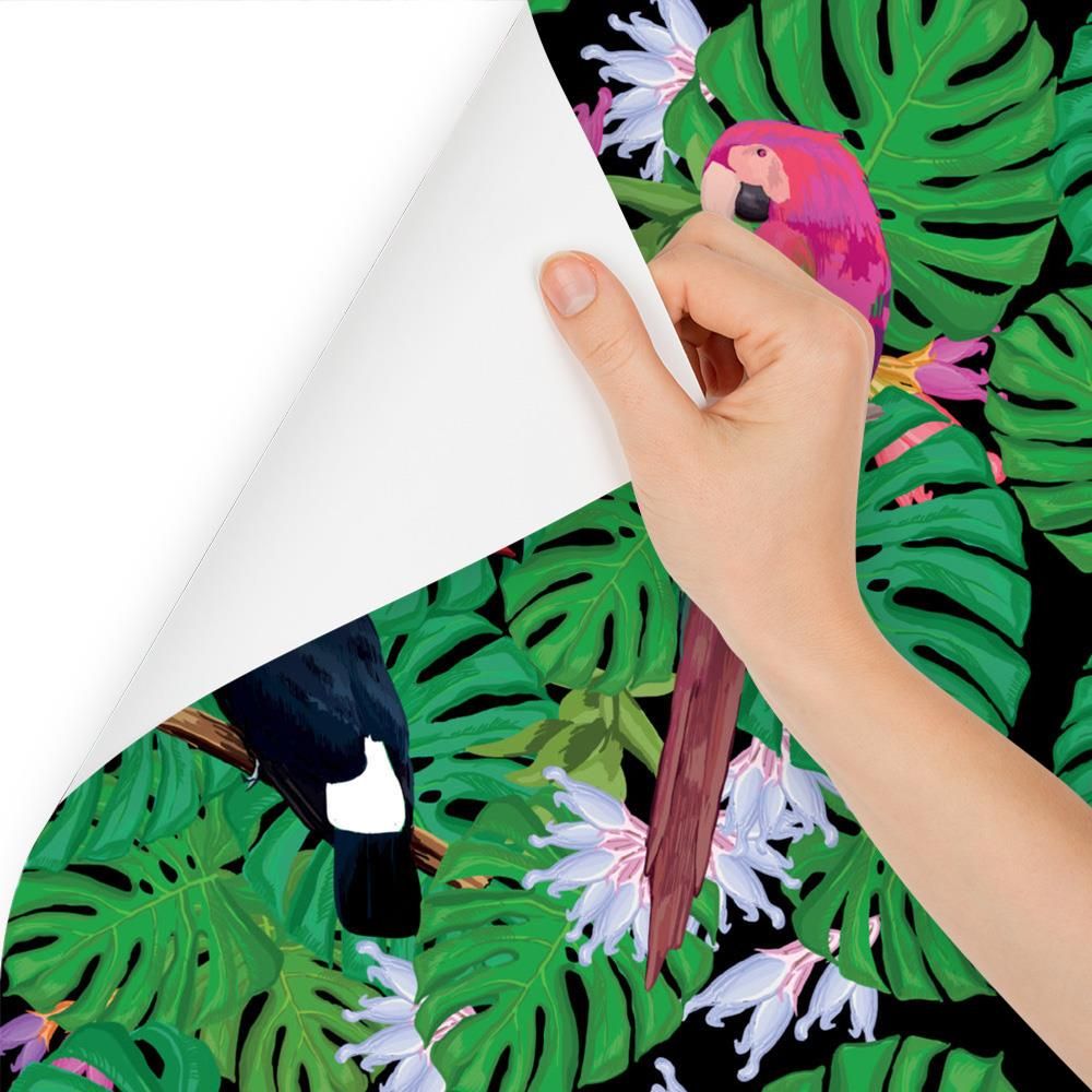 Printedwall Tapeta Tukany Tropikalna Monstera T0957 - Opinie i ceny na ...