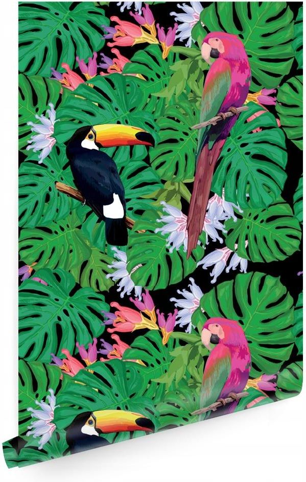 Printedwall Tapeta Tukany Tropikalna Monstera T0957 - Opinie i ceny na ...