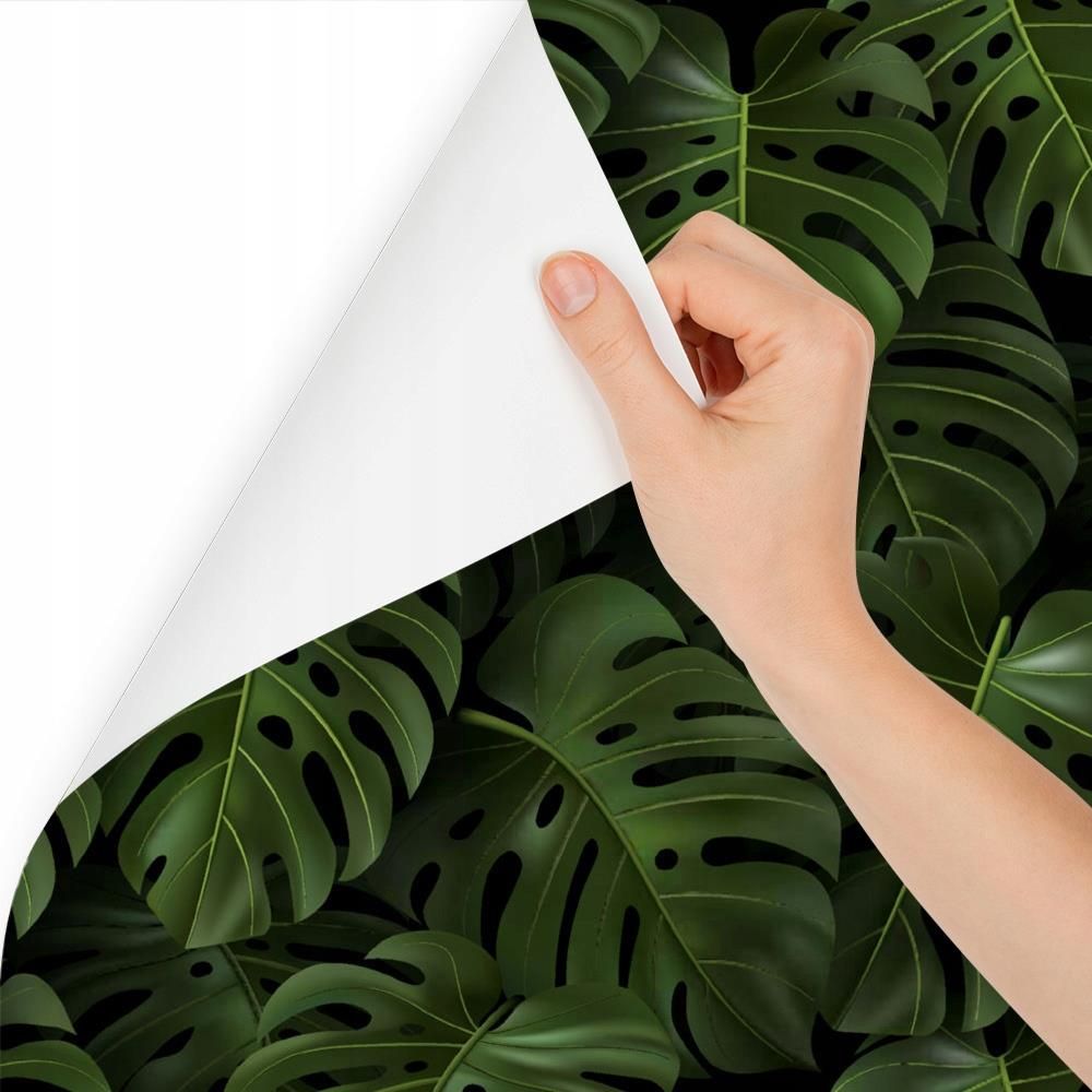 Printedwall Tapeta Liście Monstera Tropikalna T0254 - Opinie i ceny na ...