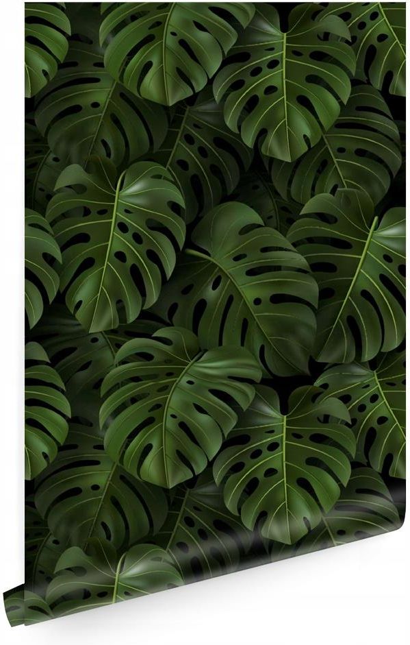 Printedwall Tapeta Liście Monstera Tropikalna T0254 - Opinie i ceny na ...