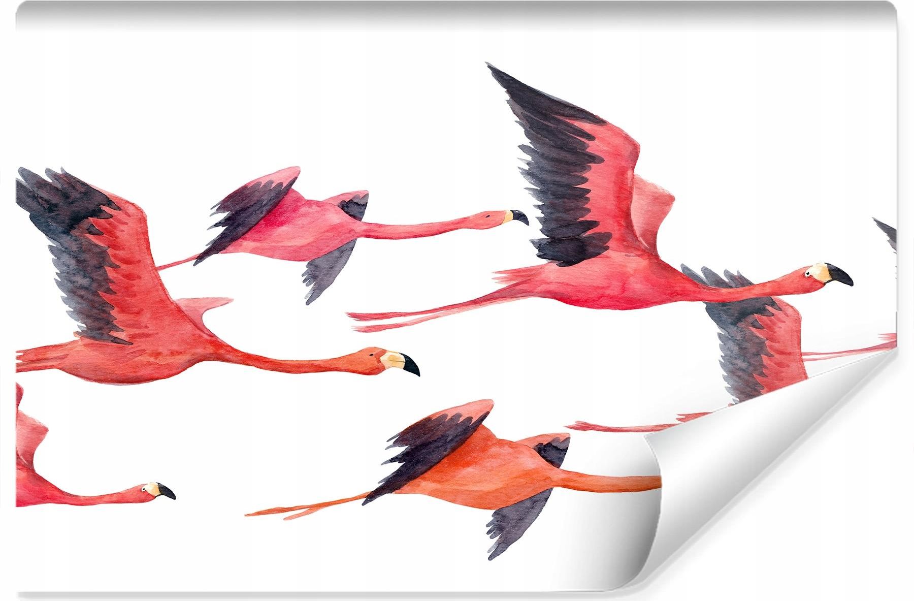 Muralo Fototapeta Dla Dzieci Flamingi Akwarela 135x90 - Opinie i ceny na Ceneo.pl