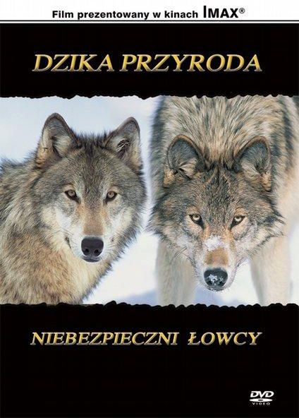 Film DVD Dzika Przyroda Wilki: Niebezpieczni Łowcy (DVD) - Ceny i opinie - Ceneo.pl