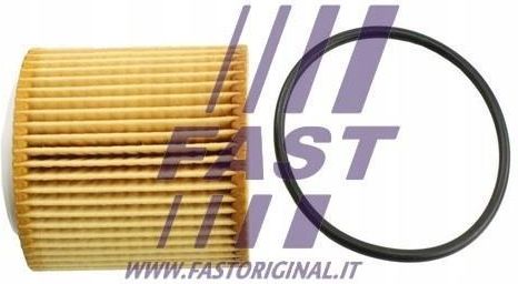 Fast Filtr Oleju Ft38100 - opinie i ceny na Ceneo.pl