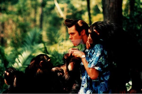 Film DVD Ace Ventura: Zew Natury (Ace Ventura-When Nature Calls) (DVD ...