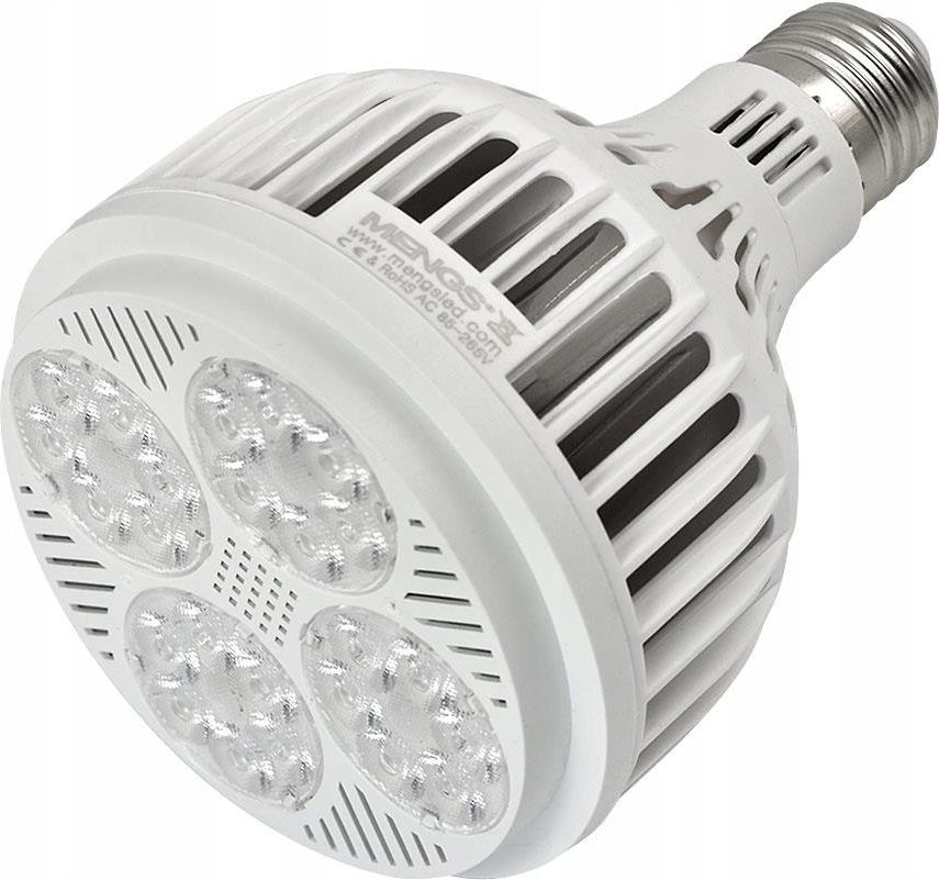 Daskoo Żarówka Led E27 PAR30 25W=200W Biały Zimny 3100LM (11012029402 ...