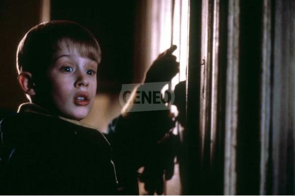 Film DVD Kevin Sam W Nowym Jorku (Home Alone 2) (DVD) - Ceny i opinie - Ceneo.pl