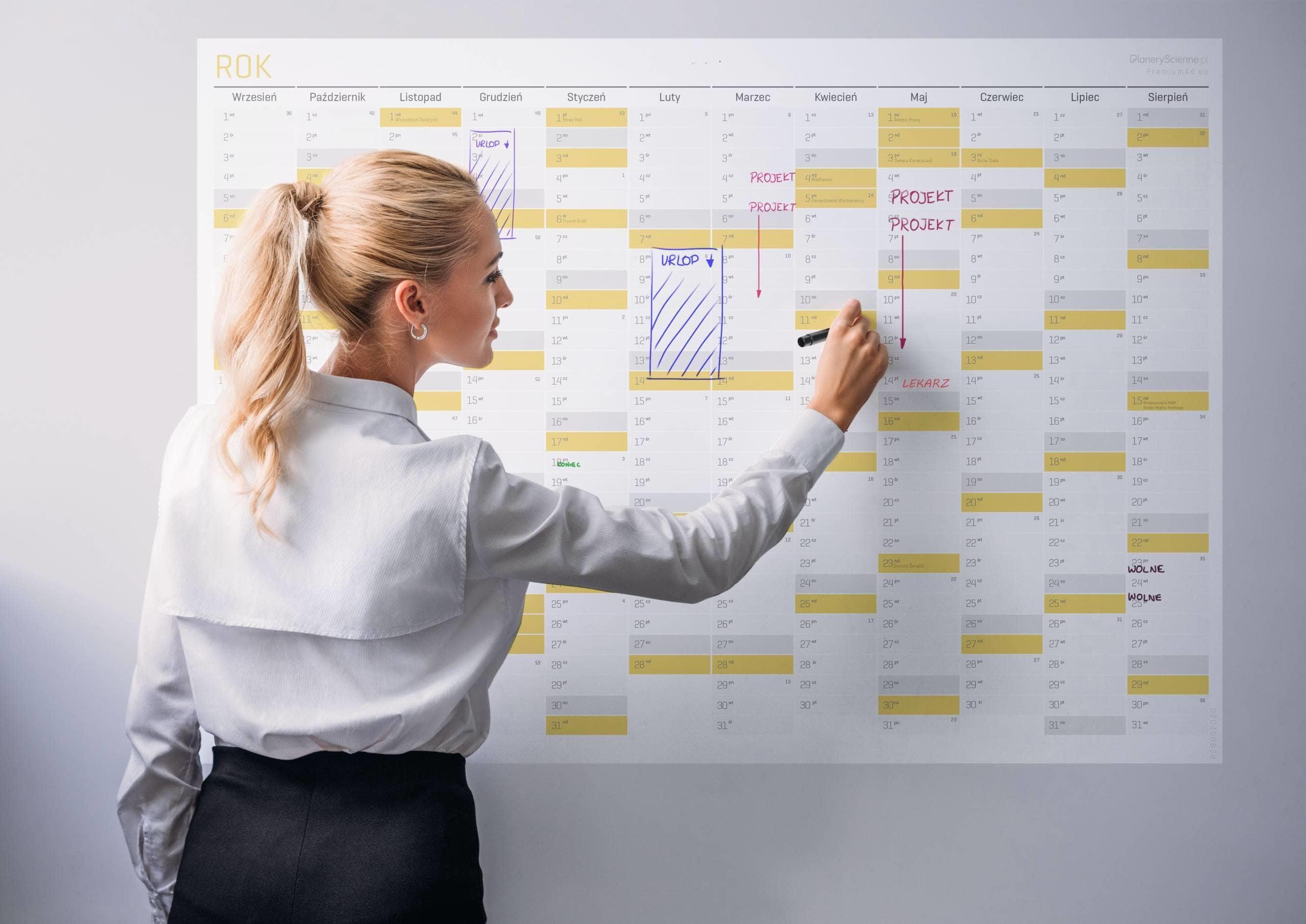 Premiumad Planer Roczny 2023 Sun B0 - Ceny i opinie - Ceneo.pl