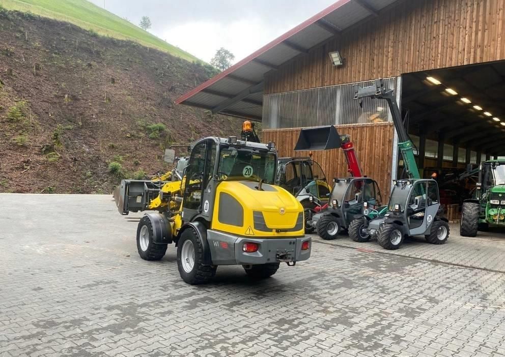 WACKER NEUSON WL38 ,2016 - Opinie i ceny na Ceneo.pl