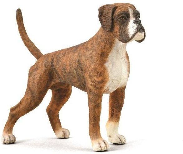 Collecta Pies Boxer - Ceny i opinie - Ceneo.pl