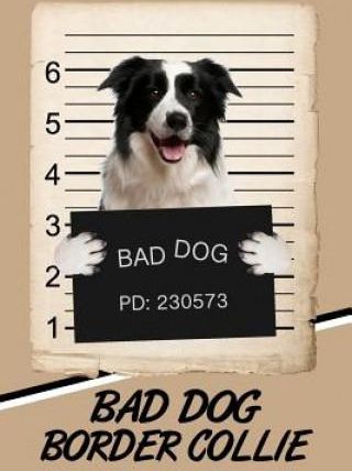 Bad Dog Border Collie: Isometric Dot Drawing Paper Notebook Featuring ...