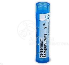 Lek homeopatyczny Boiron Gelsemium Sempervirens 9CH 4 g - Opinie i ceny ...