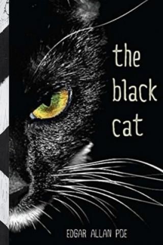 The Black Cat Short Story by Edgar Allan Poe: annotation - Literatura ...