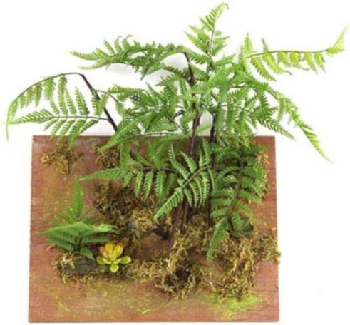 Roślina Sztuczna Pteropsida 40 X 30 15 Cm Sztuczny Jedwab Zielony 24957 ...