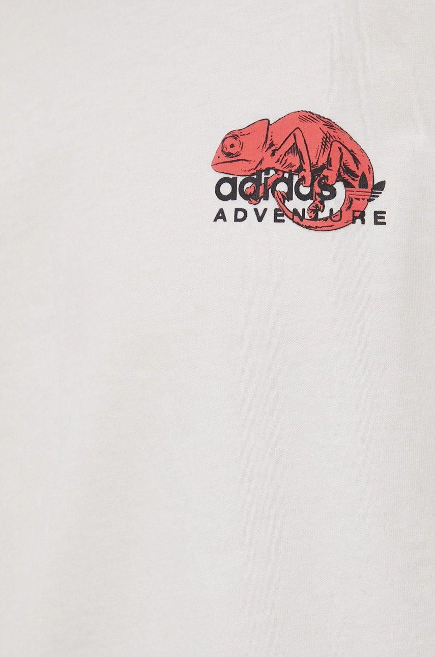 Adidas Originals - T-shirt bawełniany - Ceny i opinie - Ceneo.pl