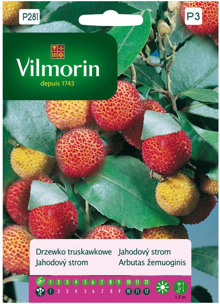 Drzewko Truskawkowe Nasiona Tradycyjne 0.1G Vilmorin - Ceny i opinie ...