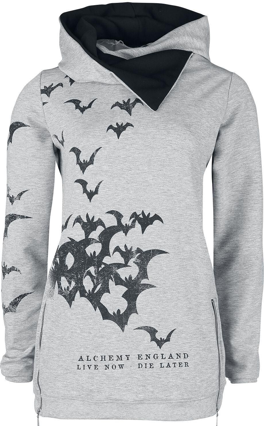 Alchemy England Bats Attack Bluza Z Kapturem Szary Czarny - Ceny i ...