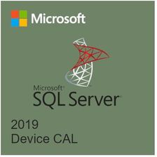 Programy serwerowe Microsoft SQL Server 2019 CAL - SQL Server 2019 - 1 ...