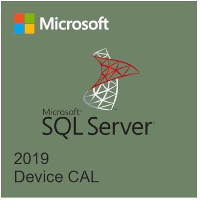 Programy serwerowe Microsoft SQL Server 2019 CAL - SQL Server 2019 - 1 ...