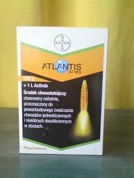 Bayer Atlantis 12 OD 500 ML + Actirob 500ML - Ceny i opinie - Ceneo.pl