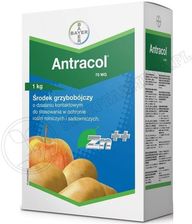 Bayer Antracol 70 WG 1KG - Ceny i opinie - Ceneo.pl