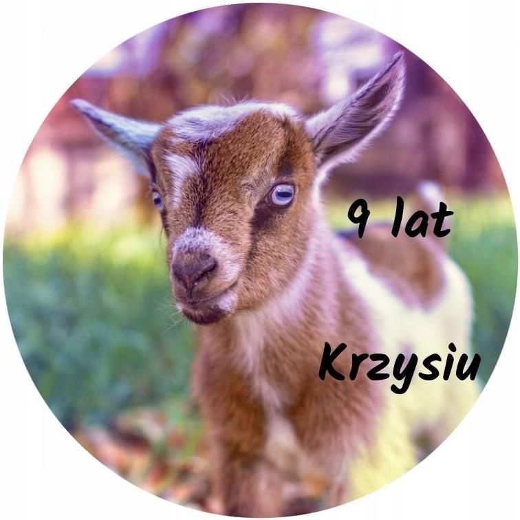 Opłatek na tort Farma koza 20 cm +napis 9954253515 - Ceny i opinie ...