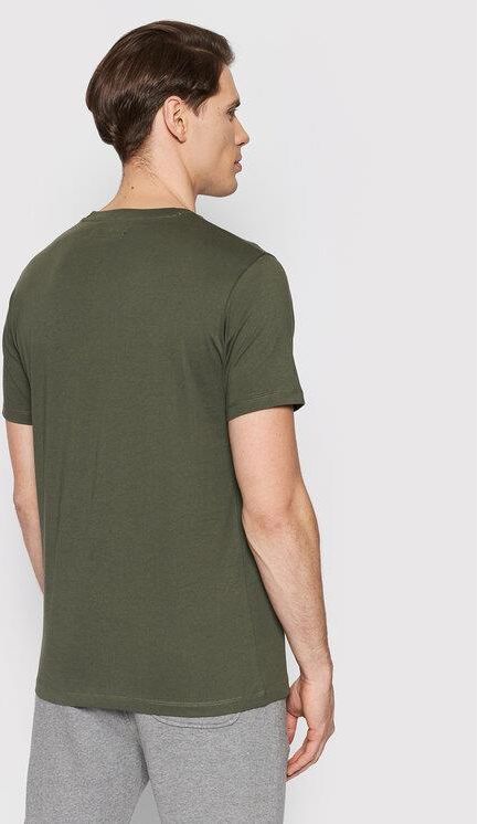 Replay T-Shirt M6043.000.22980P Zielony Regular Fit - Ceny i opinie ...