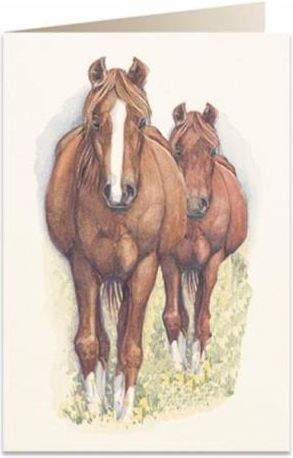 Tassotti Karnet B6 + Koperta 5937 Konie - Ceny i opinie - Ceneo.pl