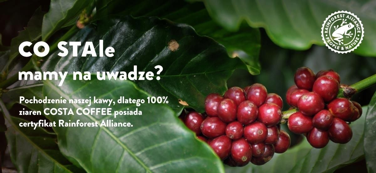 Kawa Costa Coffee 4x Kawa W Puszce Latte Americano 250Ml - Ceny i ...