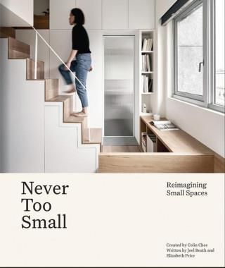 Never Too Small - Literatura obcojęzyczna - Ceny i opinie - Ceneo.pl