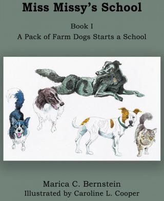 Miss Missy's School - Literatura obcojęzyczna - Ceny i opinie - Ceneo.pl