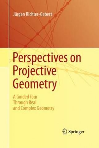 Perspectives on Projective Geometry - Literatura obcojęzyczna - Ceny i ...