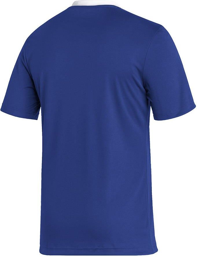 Adidas Koszulka Entrada 22 Jsy Hg6283 R. Xl - Ceny i opinie - Ceneo.pl