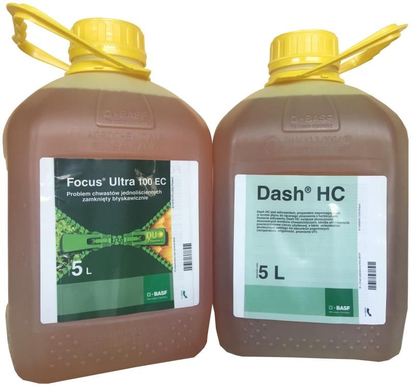 Basf Zestaw 5L Focus Ultra 100Ec+ 5L Dash - Ceny i opinie - Ceneo.pl