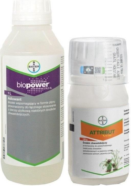 Bayer Attribut 70 Sg 120g + Biopower 1L - Ceny i opinie - Ceneo.pl