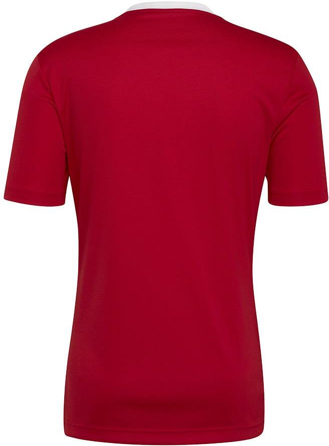 Adidas Koszulka Entrada 22 Jsy Y H61736 R. Xxl - Ceny i opinie - Ceneo.pl