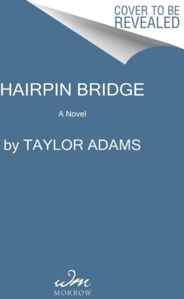 Hairpin Bridge: A Novel - Taylor Adams - Literatura obcojęzyczna - Ceny ...
