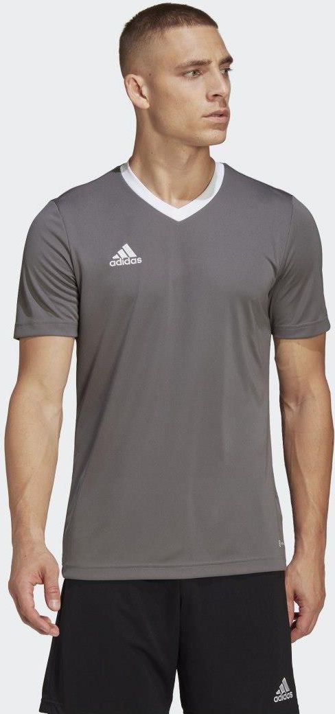Adidas Entrada 22 Jersey HE1574 - Ceny i opinie - Ceneo.pl