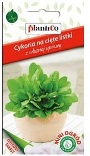 Cykoria Liściowa Mini Ogród 5G Plantico - Ceny i opinie - Ceneo.pl
