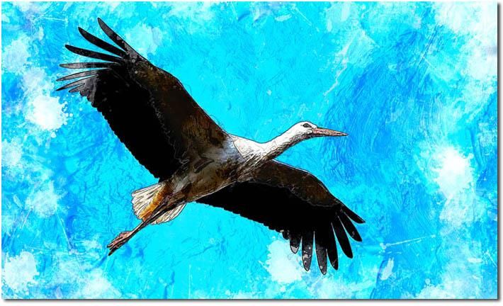 Obraz Xxl Bocian 6 120X70Cm Na Płótnie Ptak Loft 11764480952 - Opinie i ...