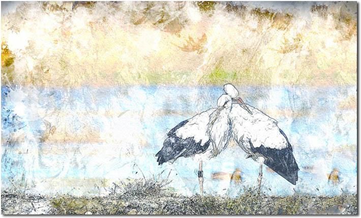 Obraz Xxl Bocian 1 120X70Cm Na Płótnie 11764523422 - Opinie i ...