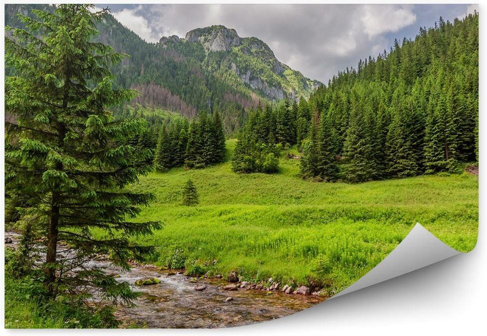 Fototapety.Pl Strumień Zielone Doliny Tatry Góry - Opinie i ceny na ...