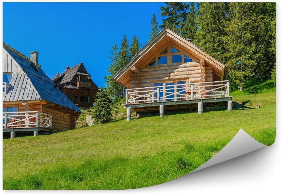 Fototapety.Pl Drewniane Domy Zielona Łąka Lato Tatry - Opinie i ceny na ...
